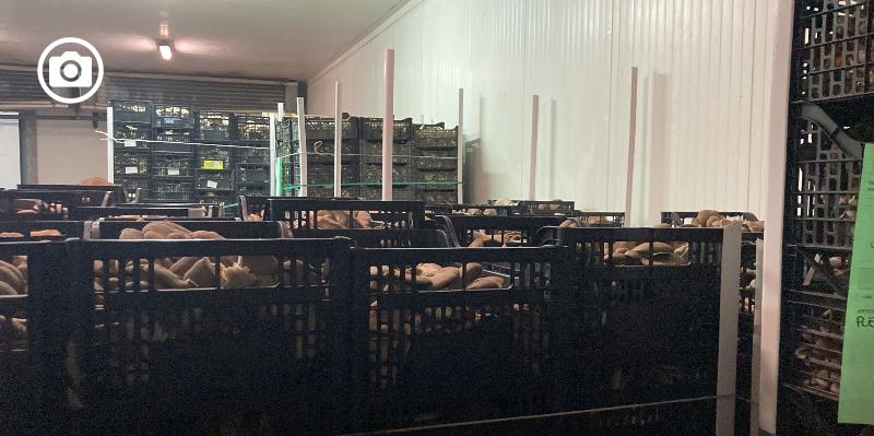 Caro benzina, Coldiretti Puglia: “Cibo resta ‘a terra’ e si svuotano ... Caro benzina, Coldiretti Puglia: “Cibo resta ‘a terra’ e si svuotano ...